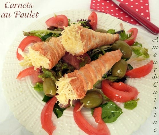 Cornets au poulet - Amour de cuisine