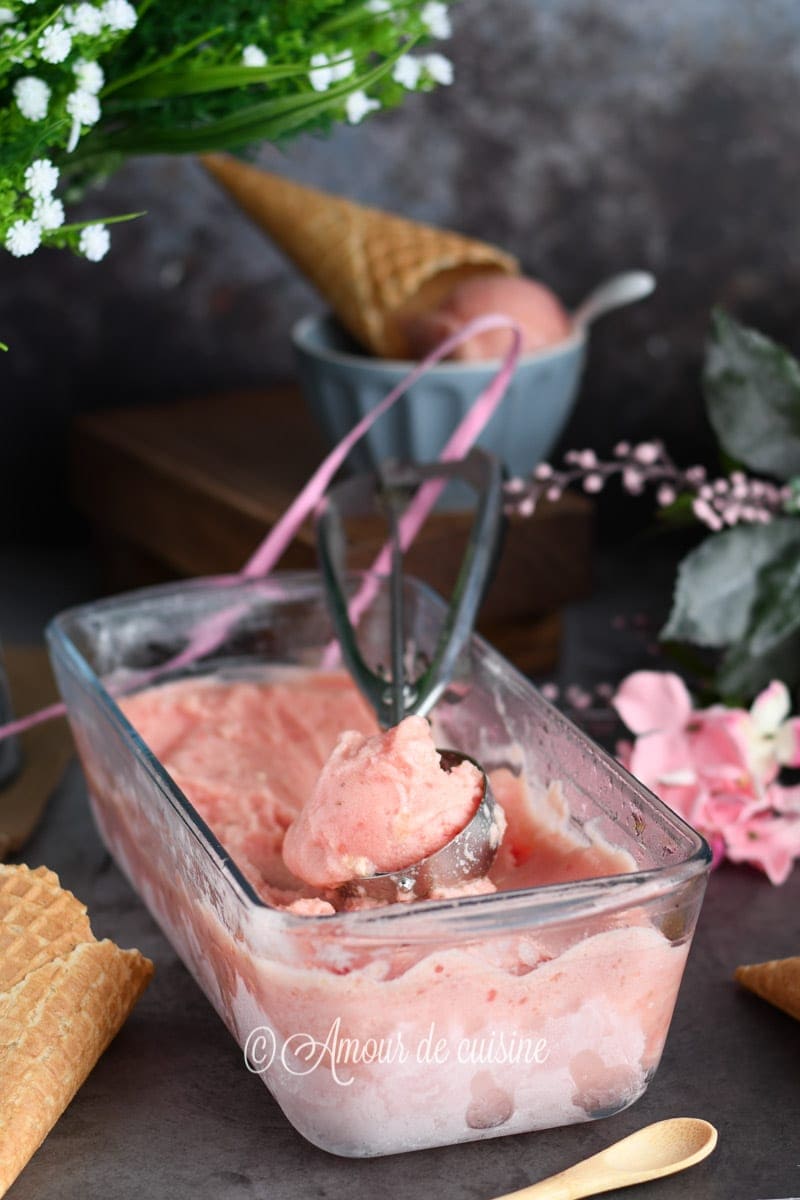 sorbet à la pastèque